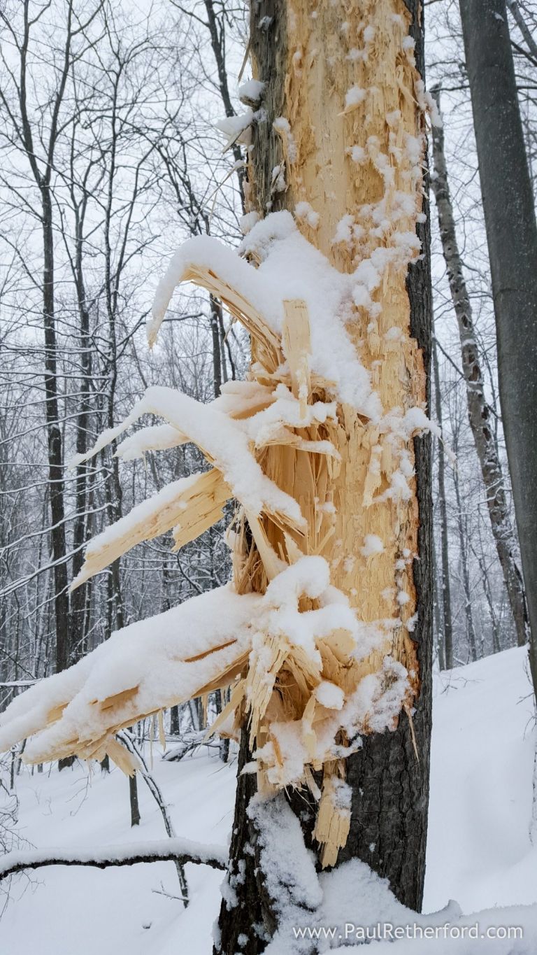 Why I love Northern Michigan Winters and why you should too Petoskey ...
