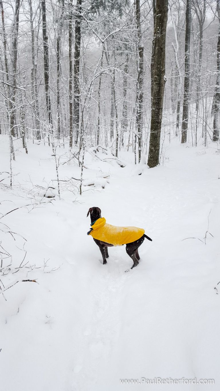 Why I love Northern Michigan Winters and why you should too Petoskey ...